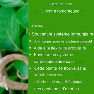 Griffe du Chat 100 Capsules 500mg : Bienfaits, Utilisations et Avis ...